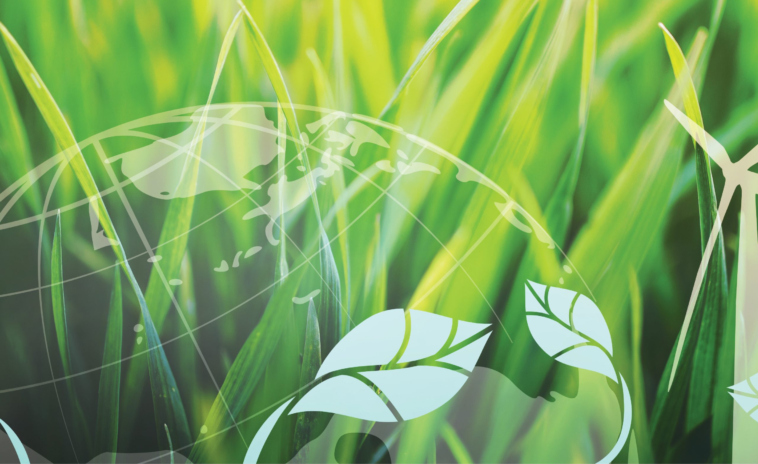 Decarbonisation in Singapore and the Region through Hydrogen Lever ...